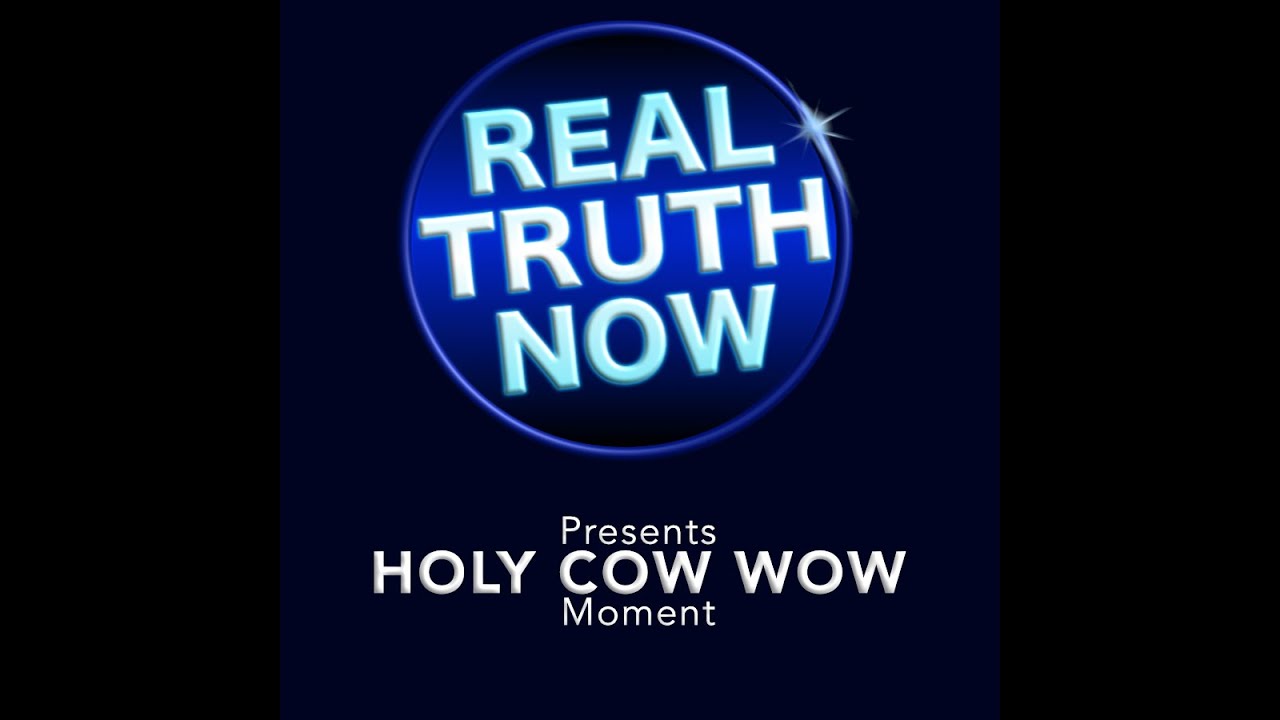 Impeachment Trial Holy Cow Wow Moments - YouTube