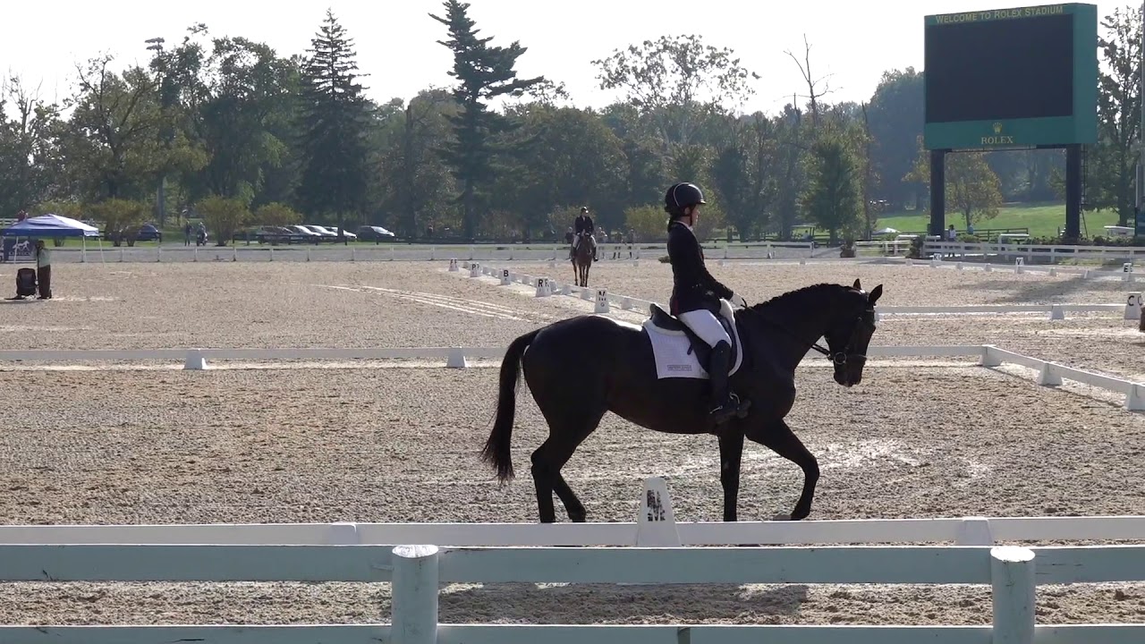 Alison Wilaby, Big Ralph RRP Dressage - YouTube