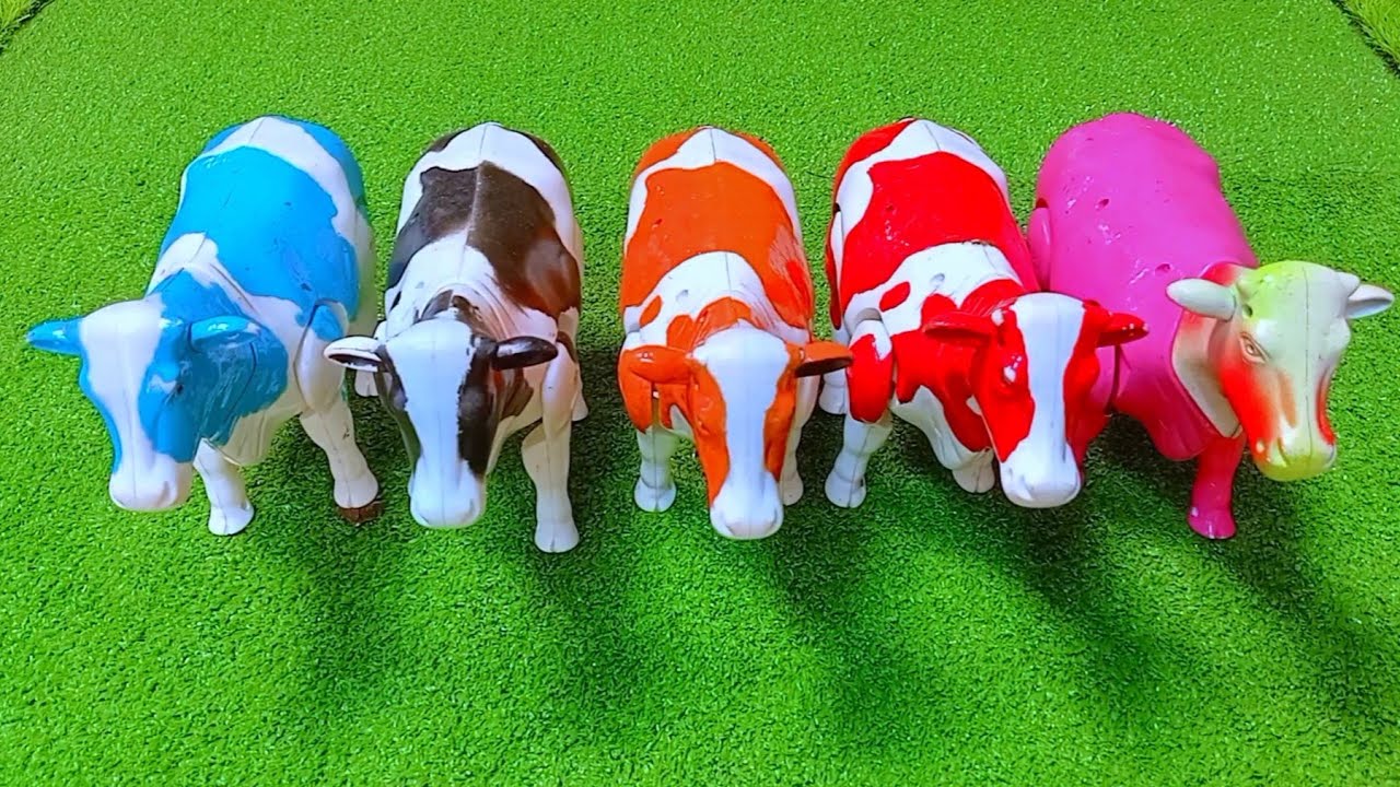 Menemukan Sapi Warna Warni‼️Sapi lucu, Sapimoo, sapi pink lucu Part 2 ...