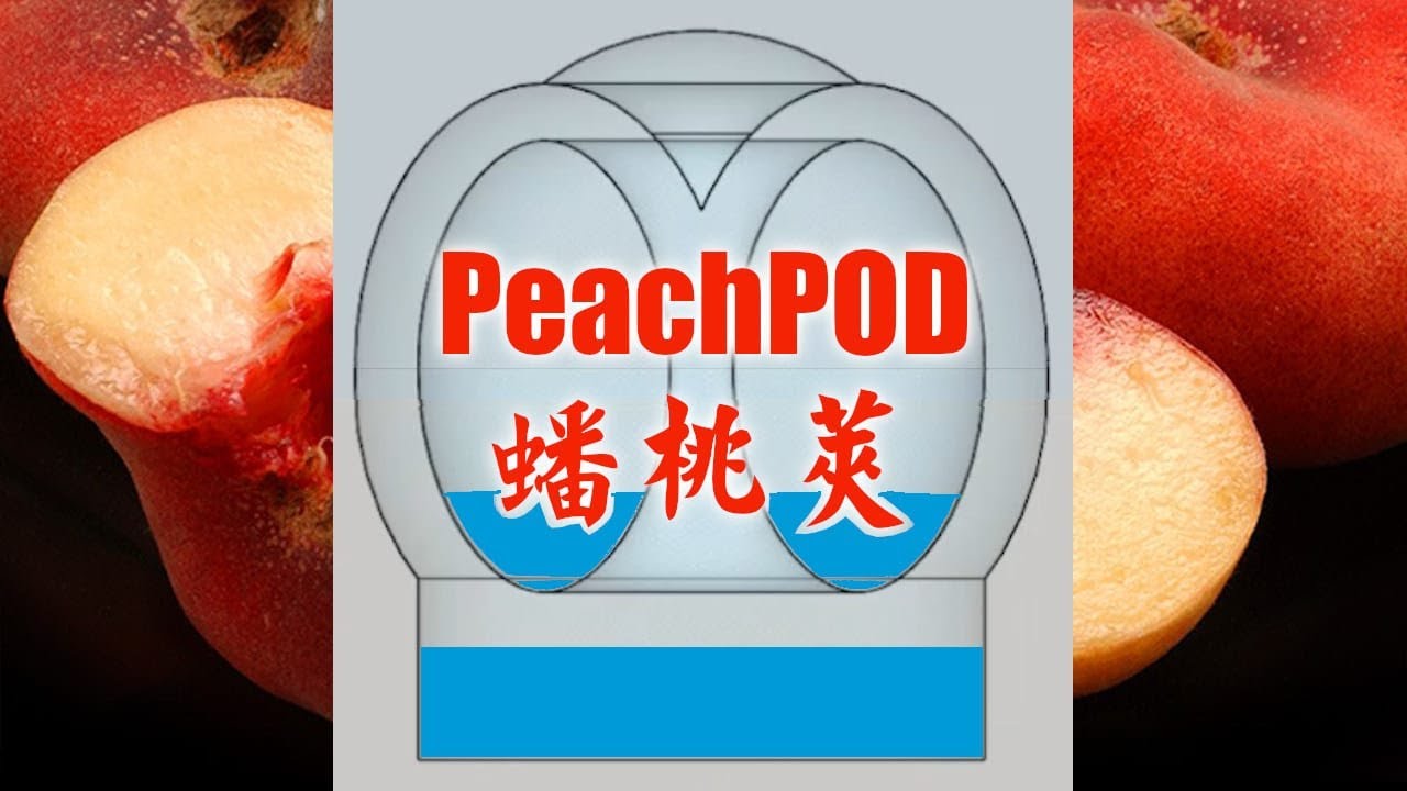 PeachPOD 蟠桃莢：借用宇宙金桔子模型，設計全新的金豆莢，將環境控制和種養植兩套系統，完美整合在一起 - YouTube