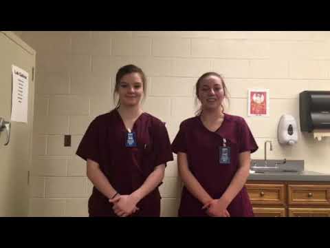 CNA skills: hand washing - YouTube