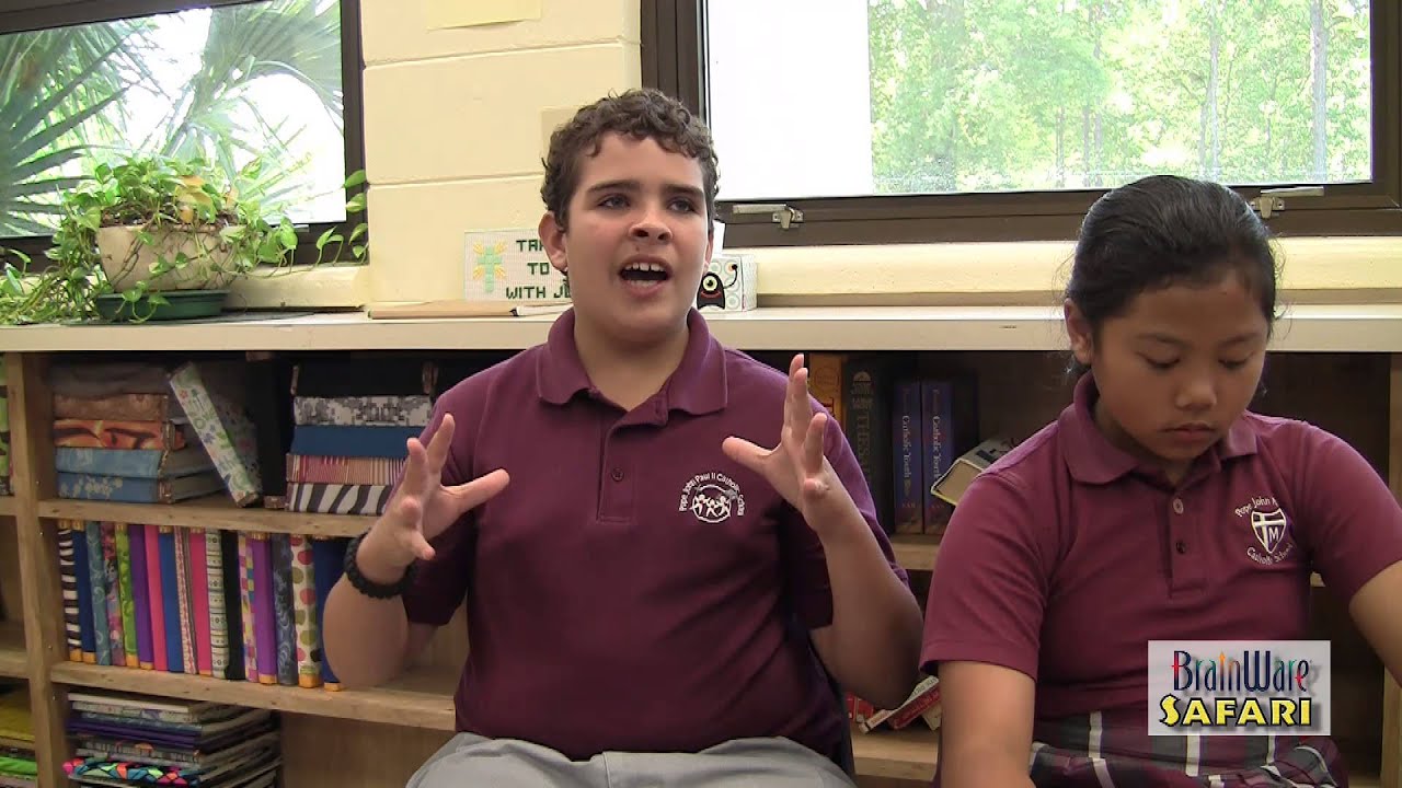 BrainWare SAFARI - Studends of pjp2 talk about their experience with ...