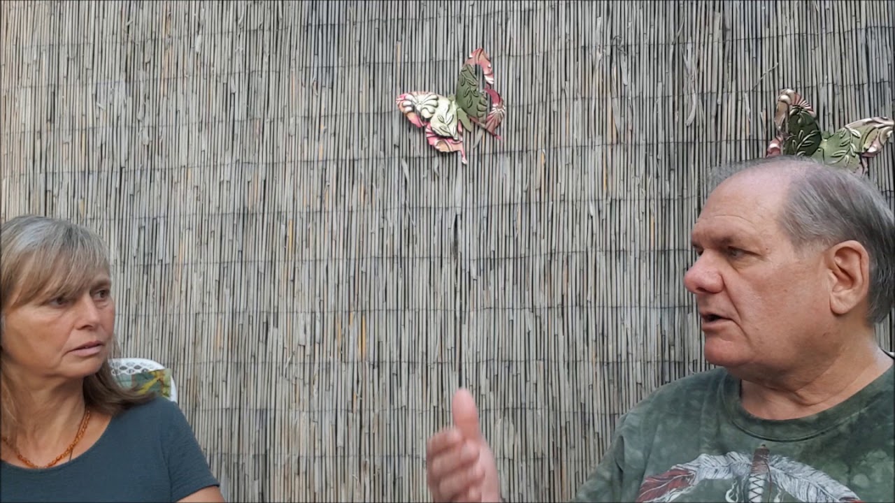 James Gilmore Tree spricht über unsere Wildnis und wie wir unsere ...