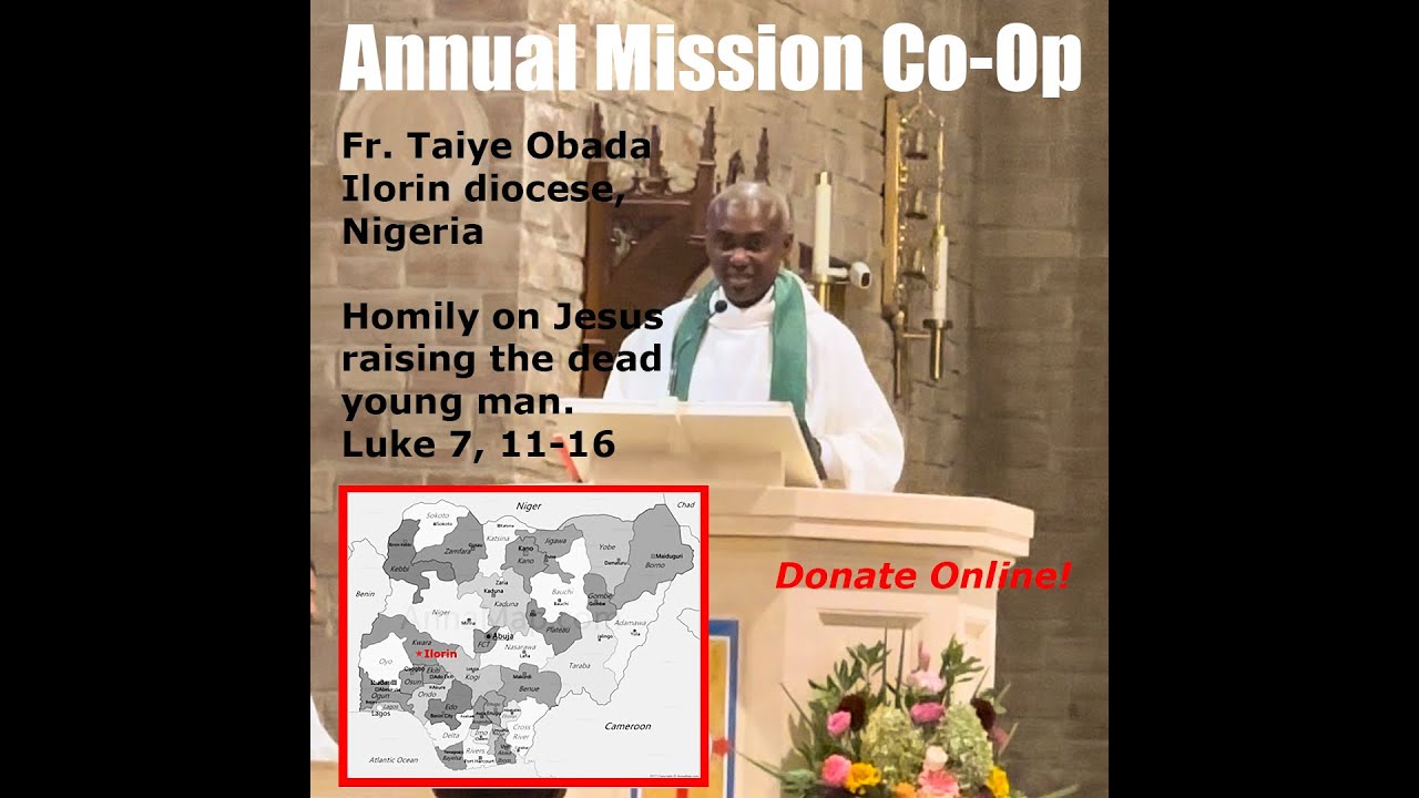 Fr. Taiye Obada Homily on Jesus Raising the Widow's Son from the Dead ...