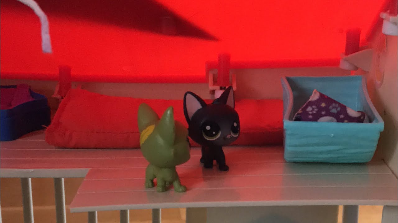 Pet shop - YouTube