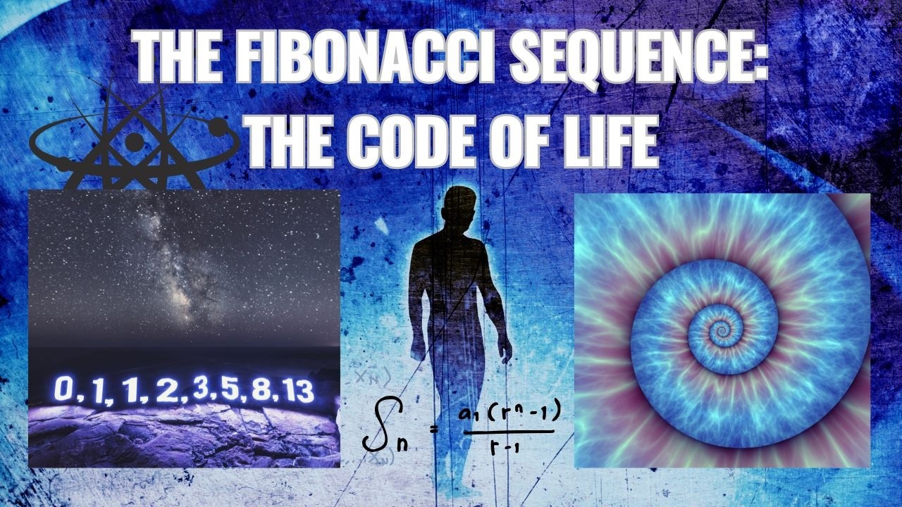 Fibonacci Sequence Revealed, The Code of Life. - YouTube Music