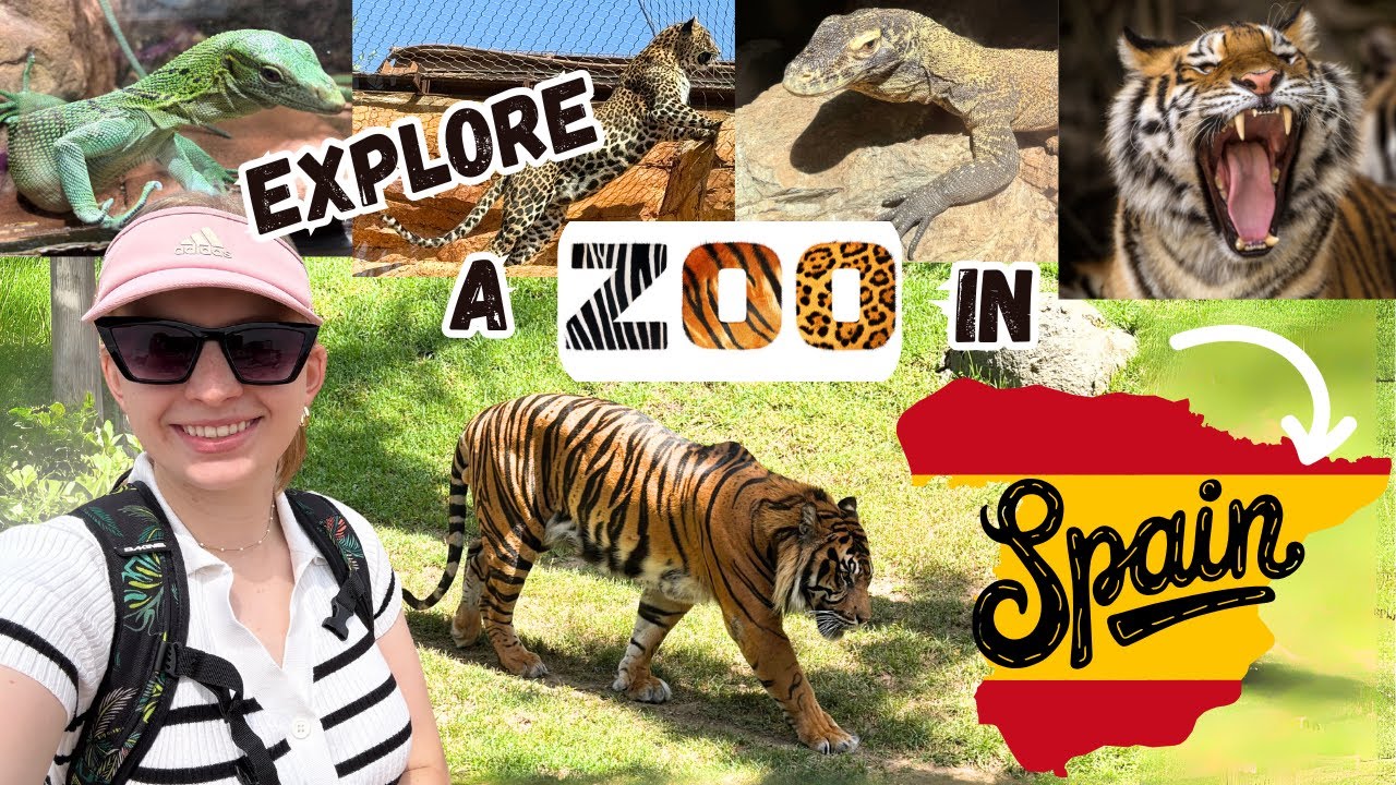 Safari in Spain??🇪🇸🦁It's not what I thought... - YouTube