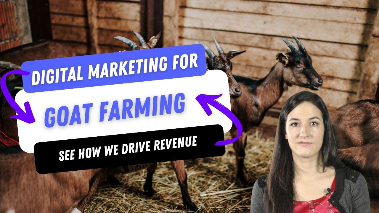 Digital Marketing For Goat Farming | AgFunnel - YouTube