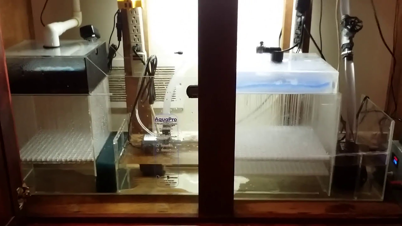 Wet Dry Filter System - YouTube