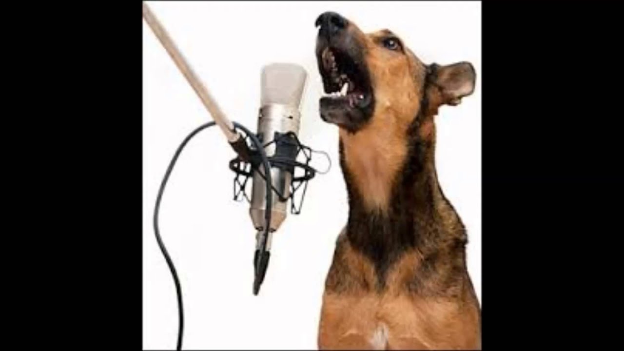 ΣΚΥΛΑΔΙΚΑ MIX 2014 - D.J. NASOS 1 - YouTube