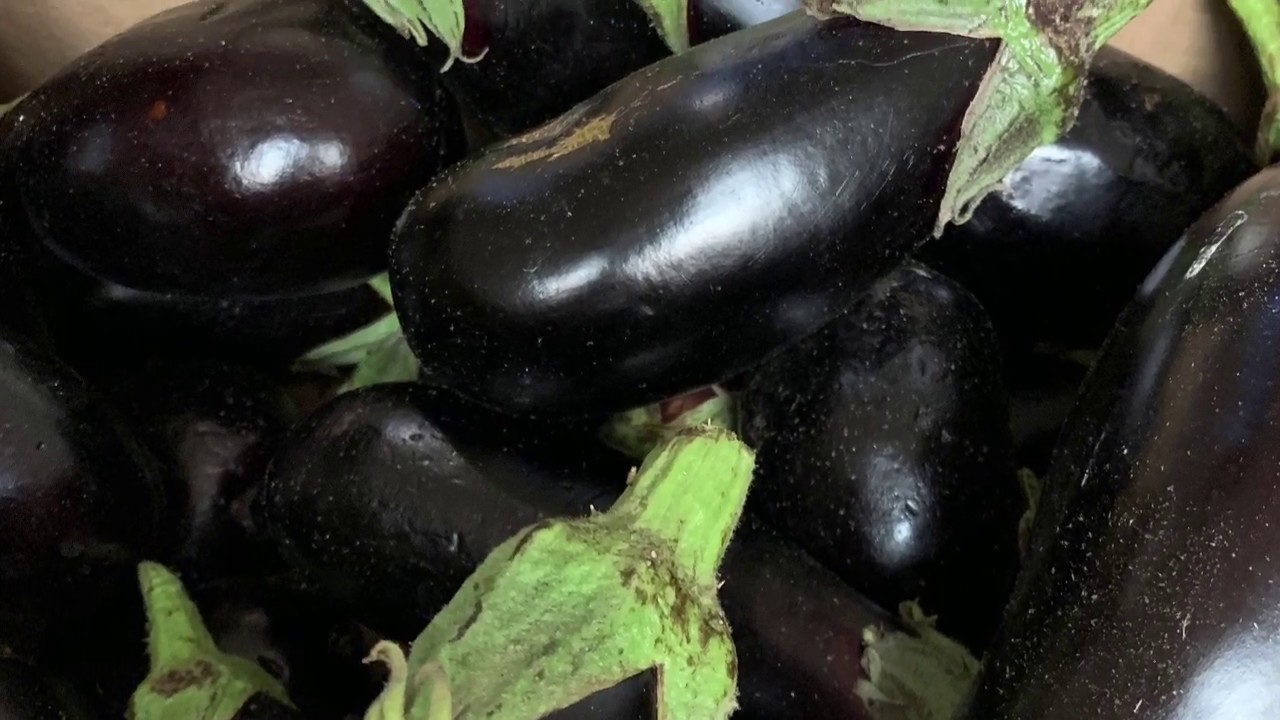 Magdoose (Eggplant Stuffed Pickle)مقدوس - YouTube