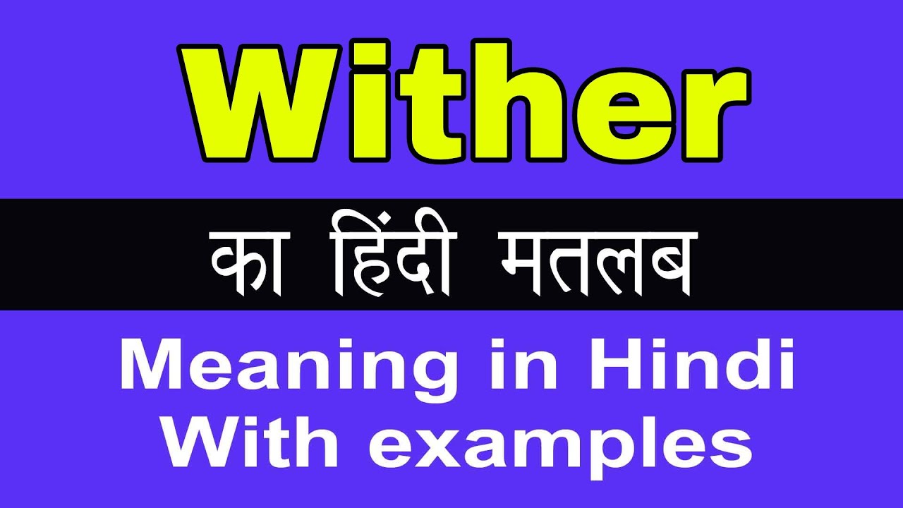 Wither Meaning In Hindi Wither Ka Matlab Kya Hota Hai YouTube wither-meaning-in-hindi-wither-ka-matlab-kya-hota-hai-youtube