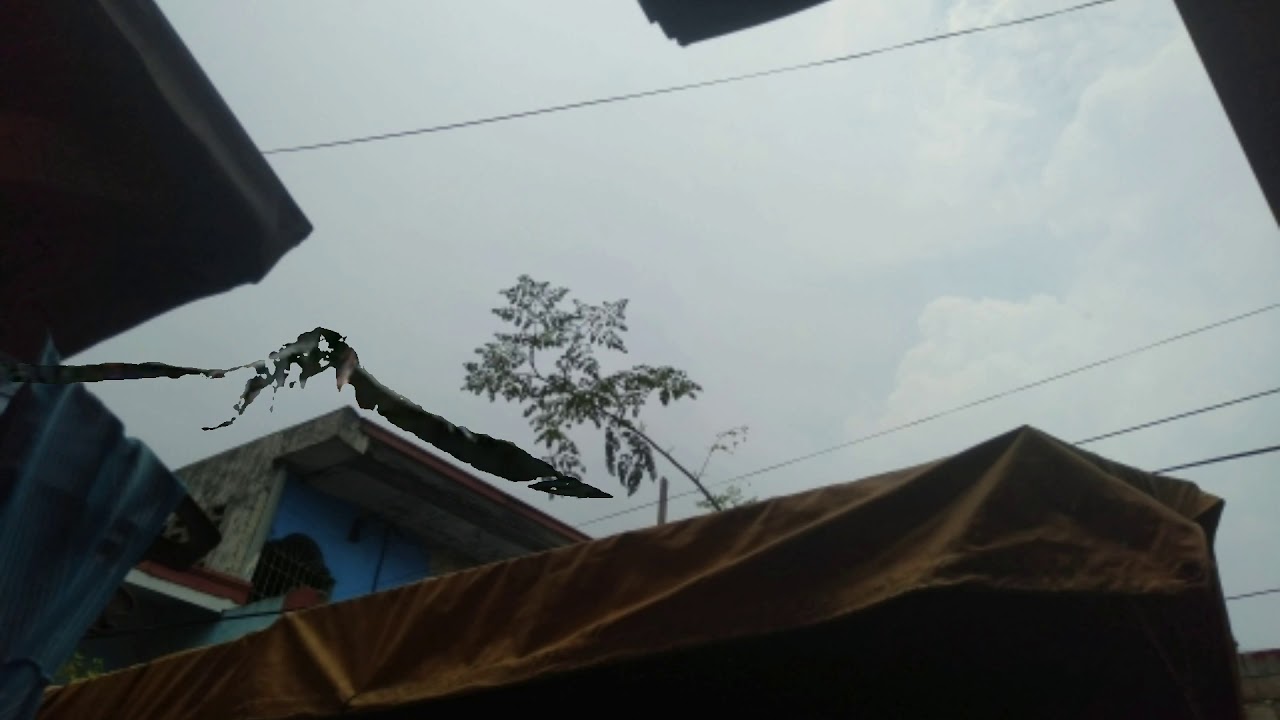 dragon caught on camera "real dragon" - YouTube