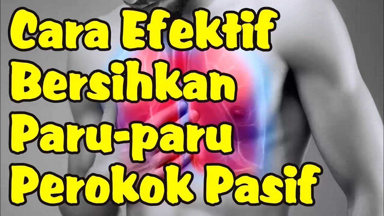 Cara Efektif Membersihkan Paru-paru Perokok Pasif - YouTube