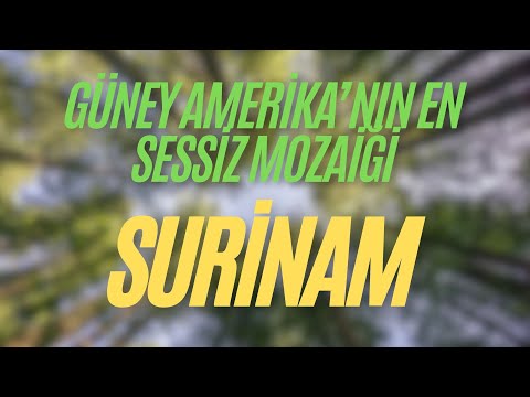 Haritada Küçük, Hikâyede Büyük: SURİNAM