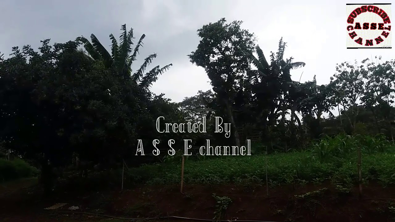 Cuaca desa Trosono terkini 02 desember 2017 - YouTube