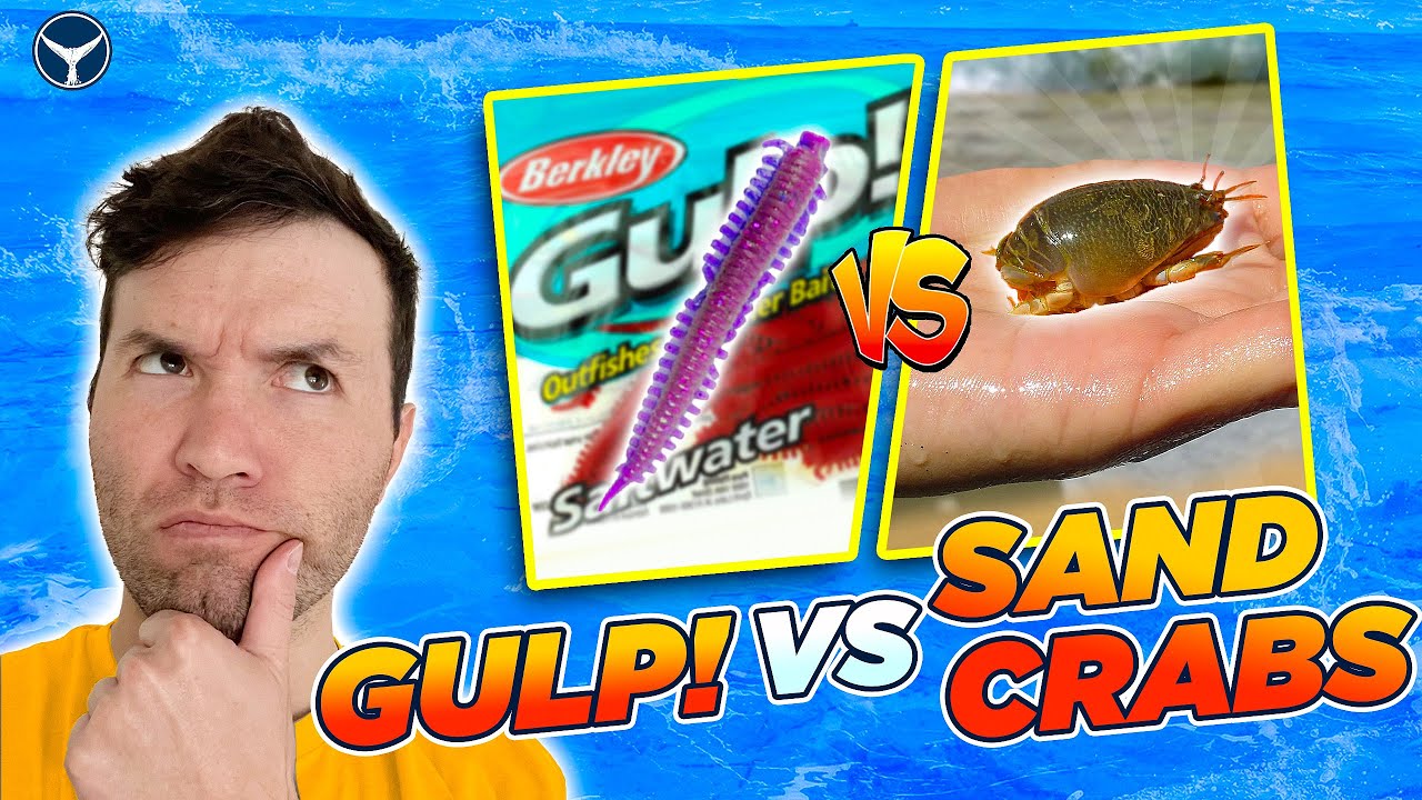 Can Berkley Gulp Beat Sand Crabs? (Yellowfin Croaker) - YouTube