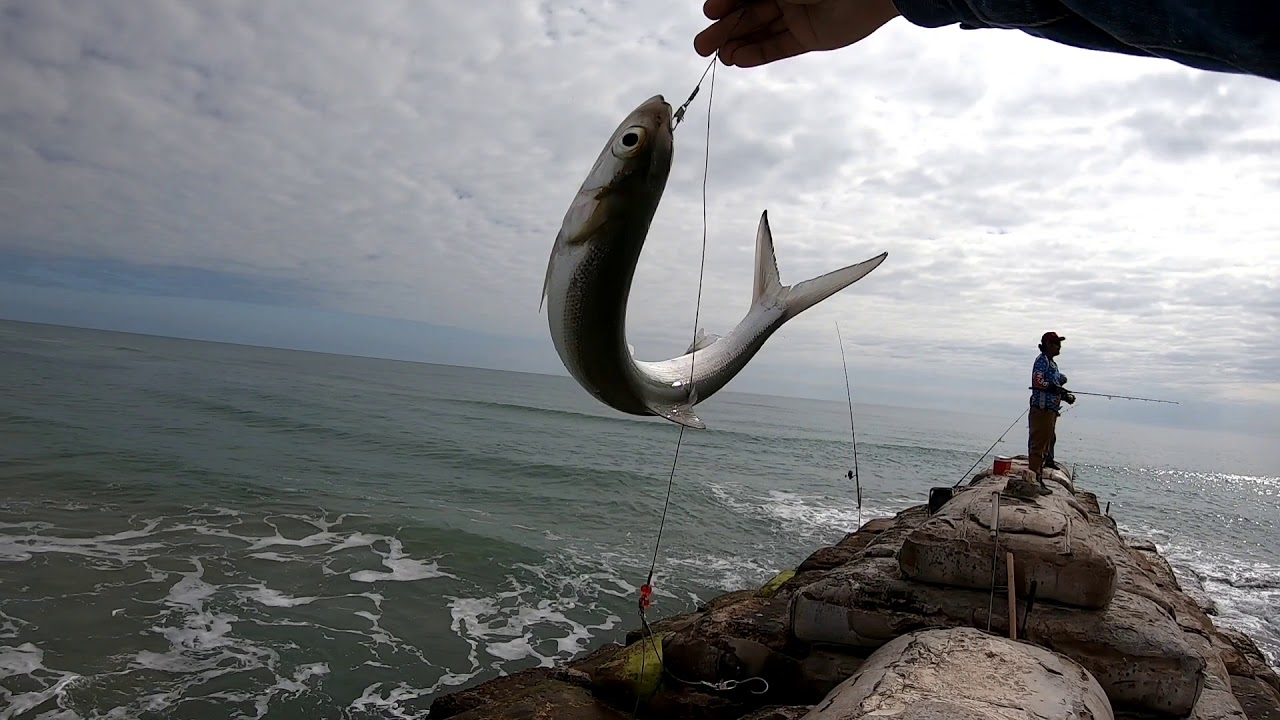 Pesca en barra de Moron - YouTube