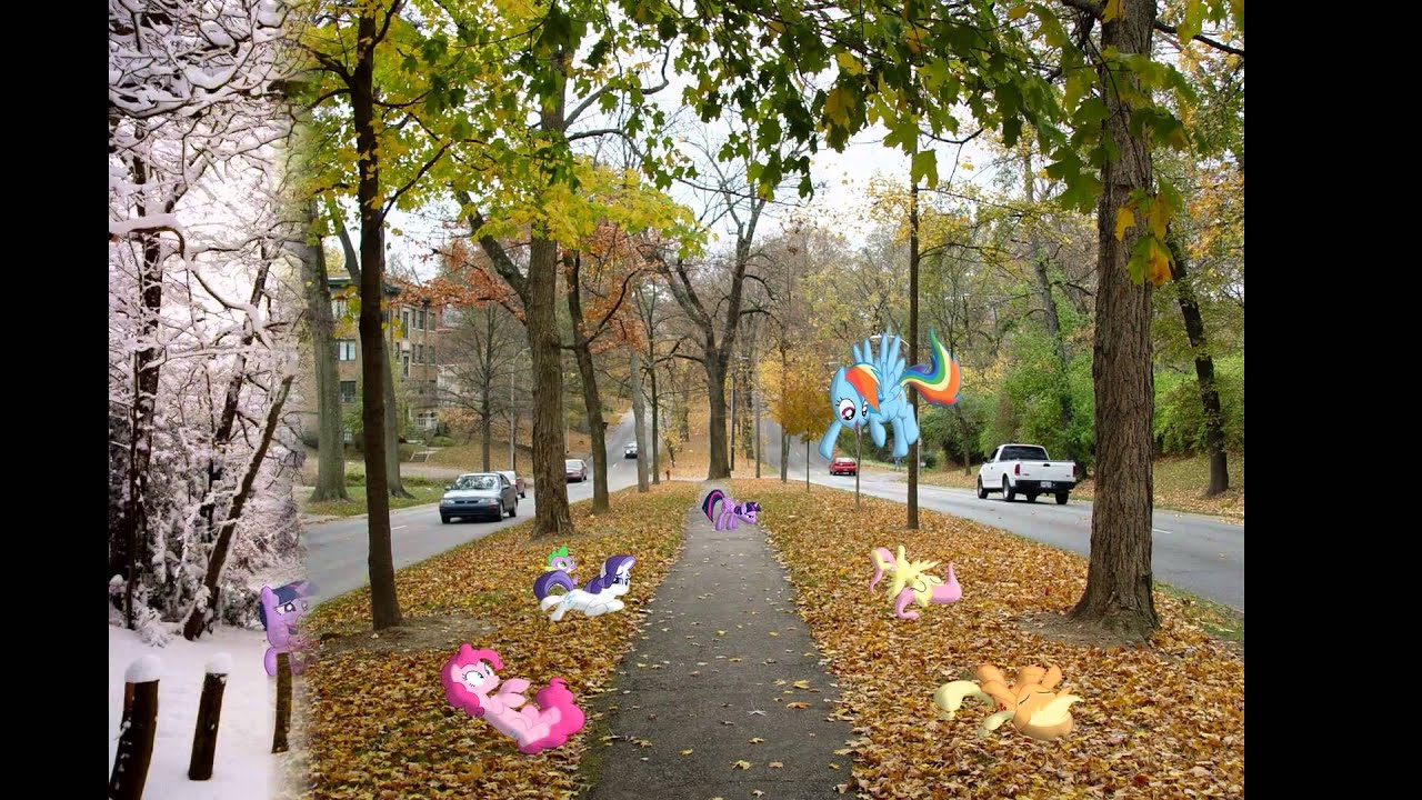 MLP (Real life part 6) - YouTube