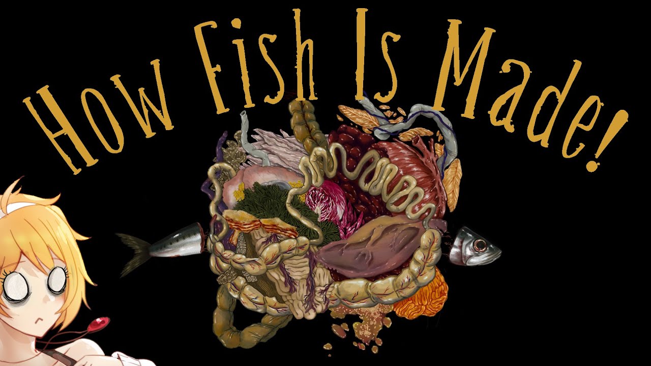 spectacular but horrific... | How Fish Is Made - YouTube