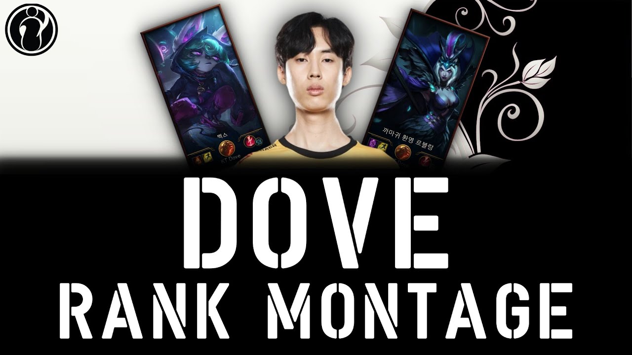 프로게이머 도브 매드무비(LOL Pro League Player Montage) Invictus Gaming Top Laner ...