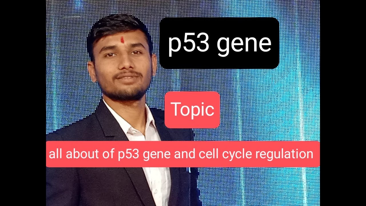 P53 gene all about of tumor suppressor gene #@cell cycle regulation ...