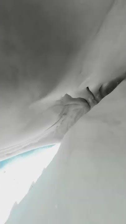 Shark Swallows Man’s Camera, Footage Captures Fascinating Glimpse Into Creature’s Mouth | Watch ...