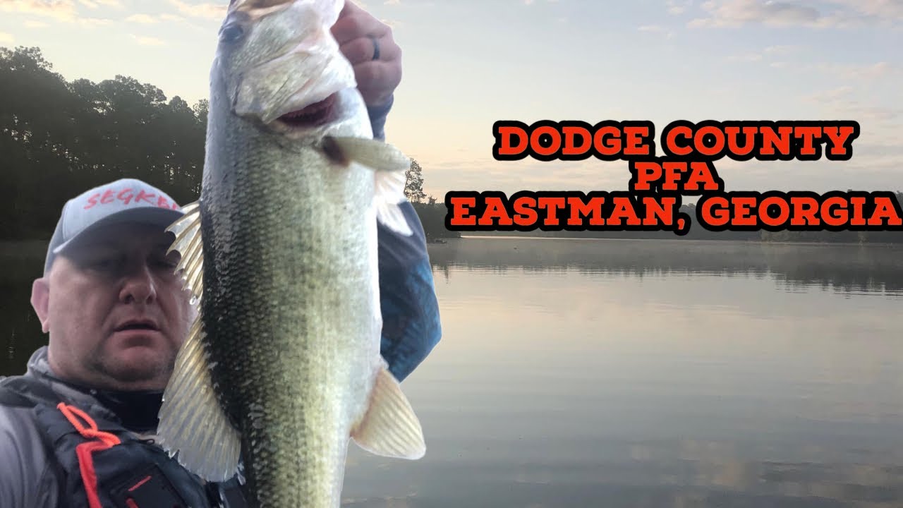 Dodge County Public Fishing Area (Kayak Bass Fishing) - YouTube
