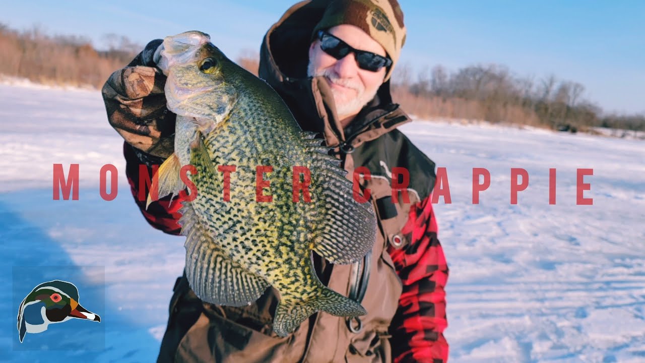 Monster Crappie Caught Through the Ice!!! - YouTube