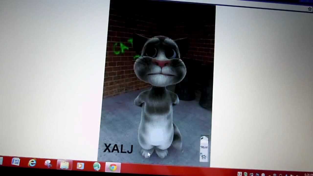 talking tom cat on windows 7 - YouTube