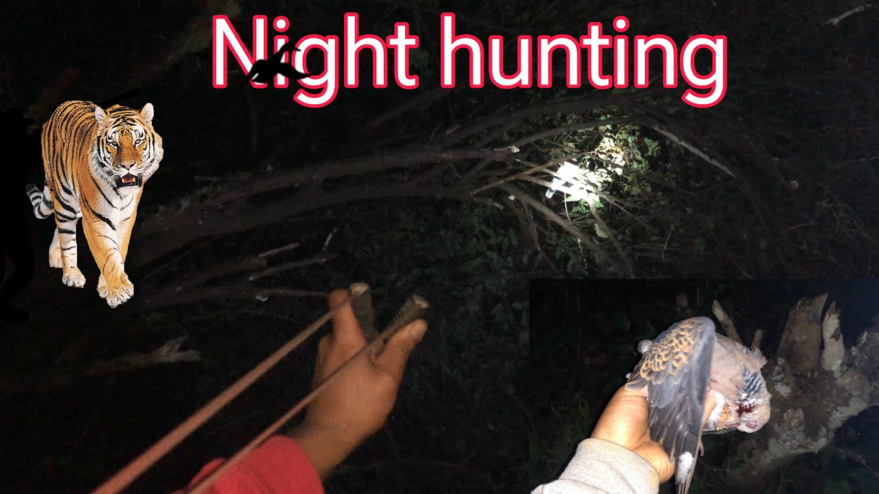 Night Hunting [chasing Tiger While Going for Night Hunting🇳🇵] - YouTube