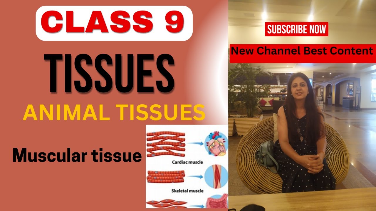 Class 9 Science Animal Tissues Muscular tissue Types#animaltissue# ...