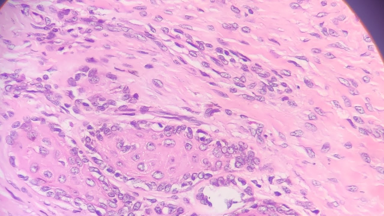 27 June 2023 - YouTube