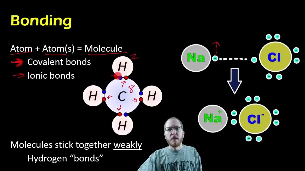 Biology: Basic Chemistry Review - YouTube