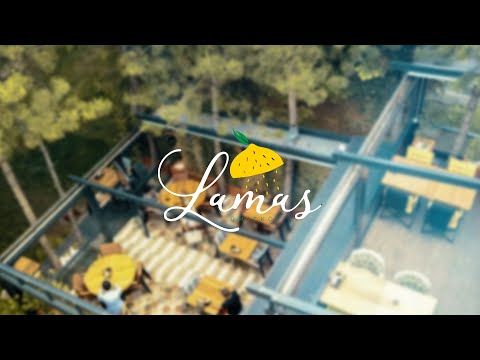 Lamas Cafe Bistro