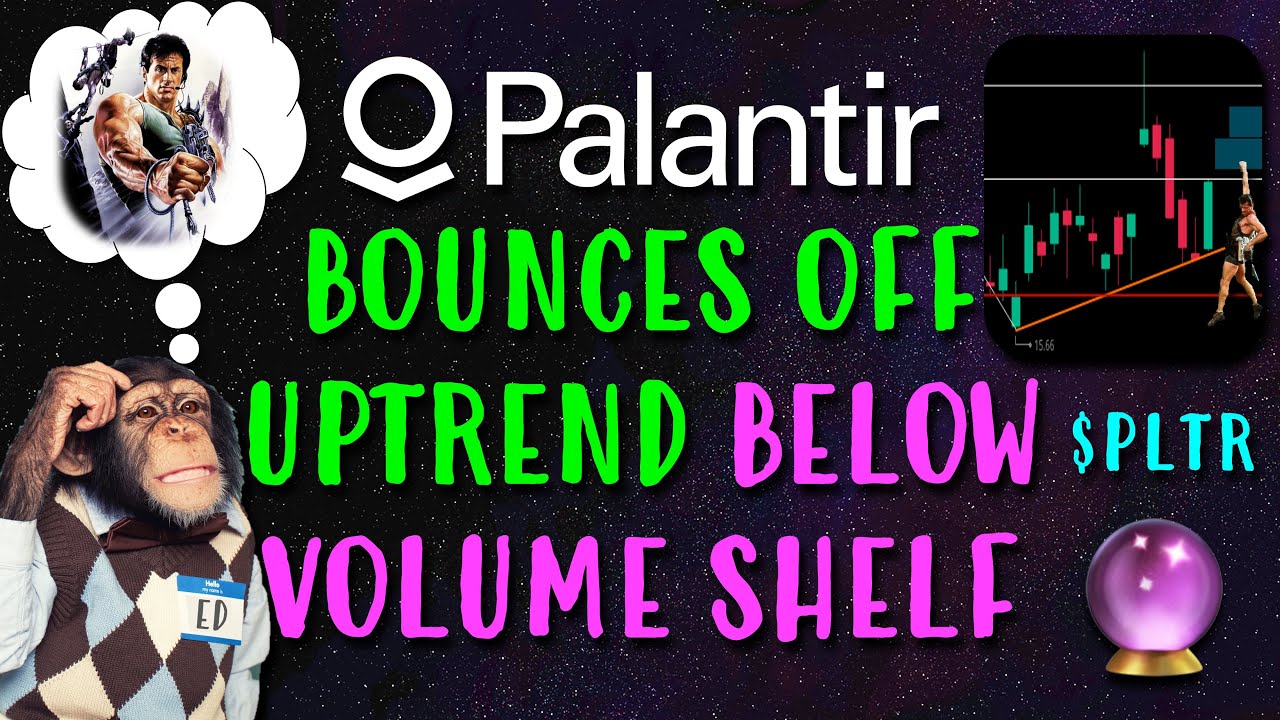 Palantir Stock $PLTR Bounces Off Uptrend Below Volume Shelf - YouTube