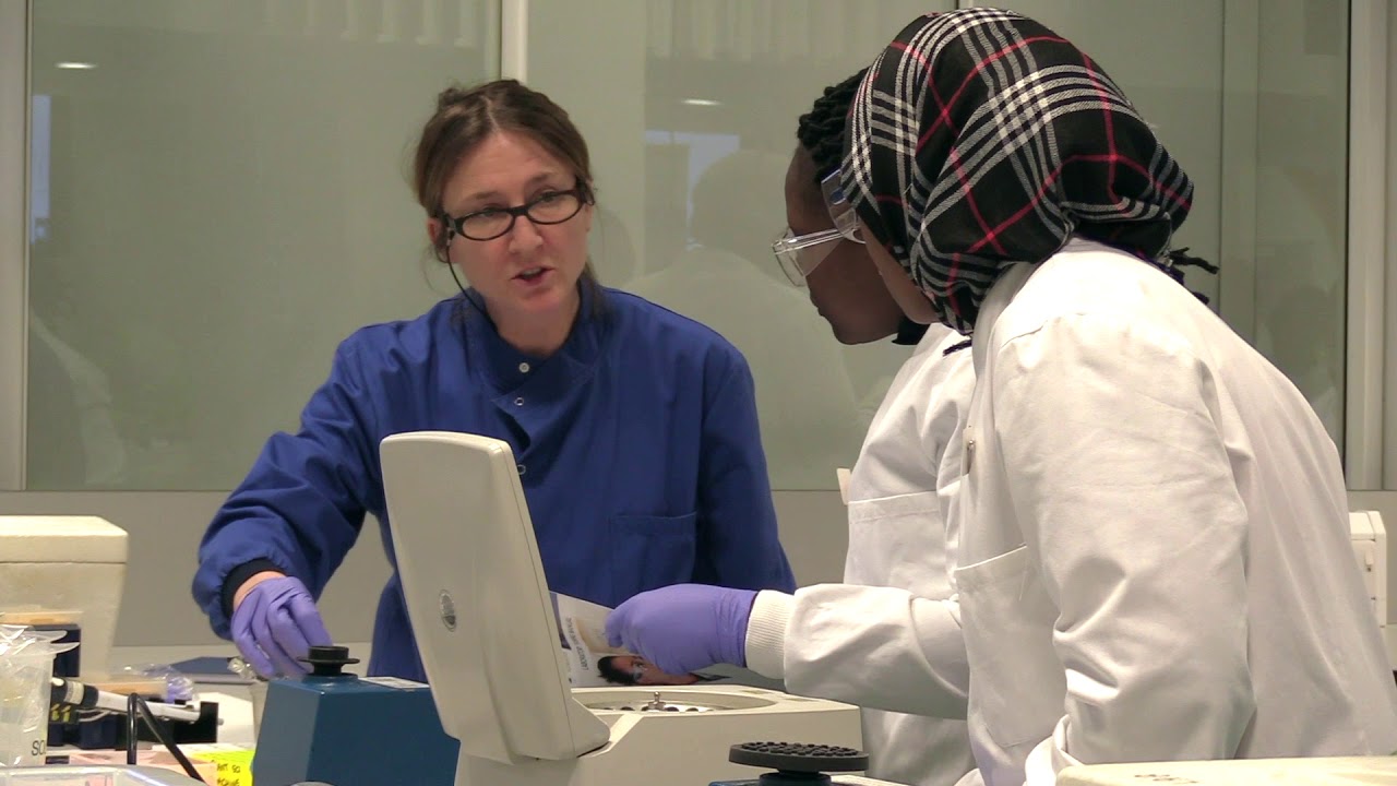 JR Biotek Foundation's Molecular Lab Training Workshop - Cambridge 2018 ...
