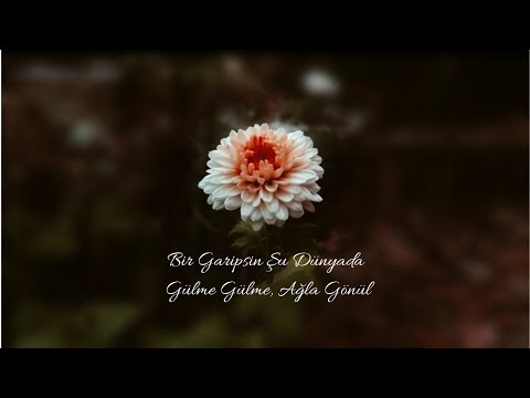 Bir Garipsin Şu Dünyada, Gülme Gülme Ağla Gönül | Muzaffer Yalçın Efendim