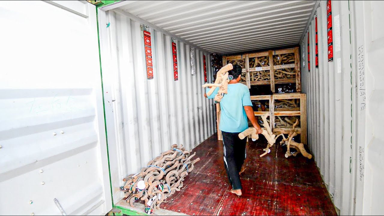 Loading Bamboo Root, Vines Wood and Coffee Wood into Containers - YouTube