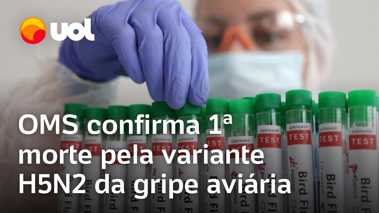 Gripe aviária: OMS confirma primeira morte humana no mundo pela ...