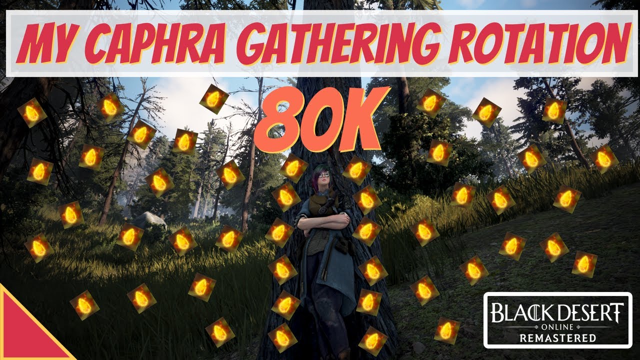 Black Desert Online - My Caphra's Gathering Rotation(2021) - YouTube