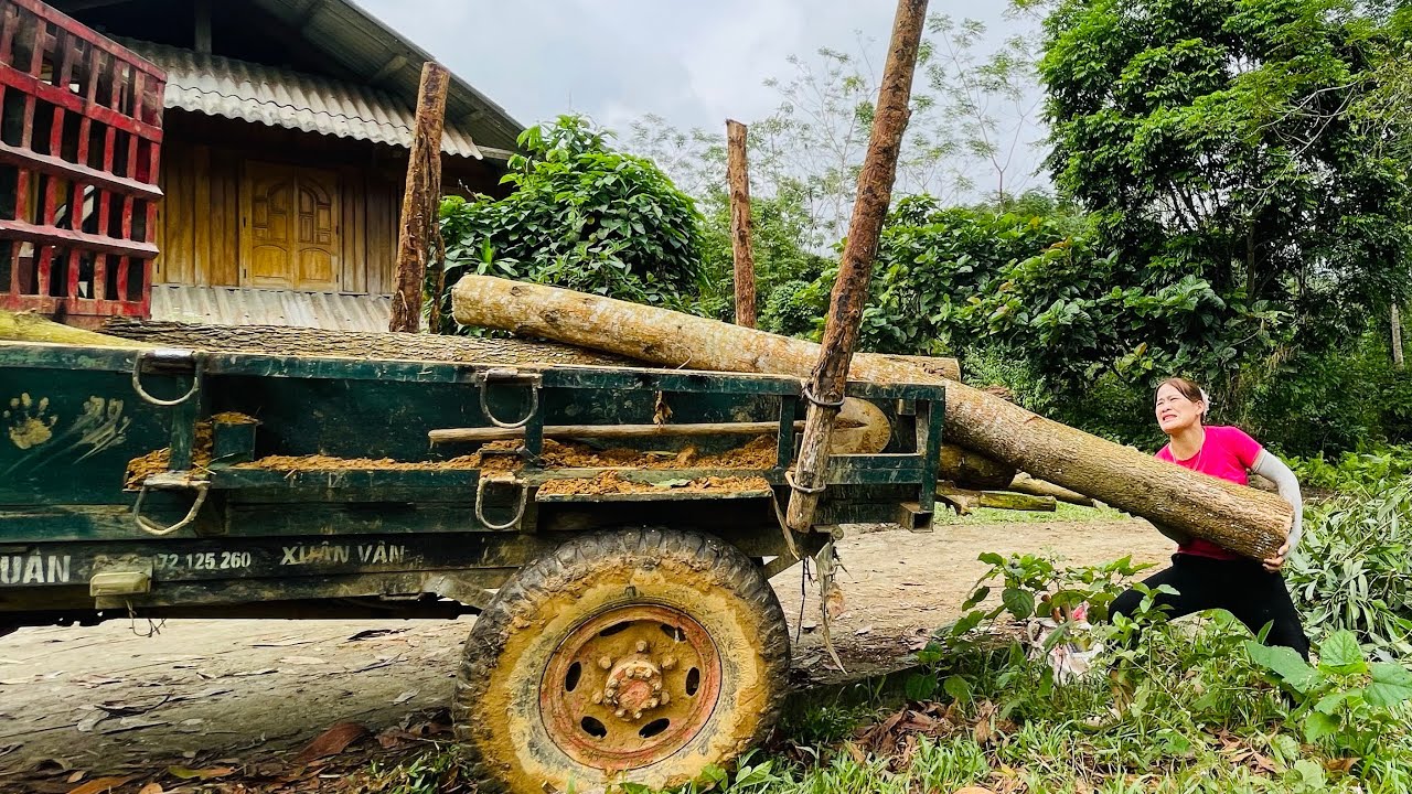 agricultural vehicle transporting wood alone girl logging - YouTube