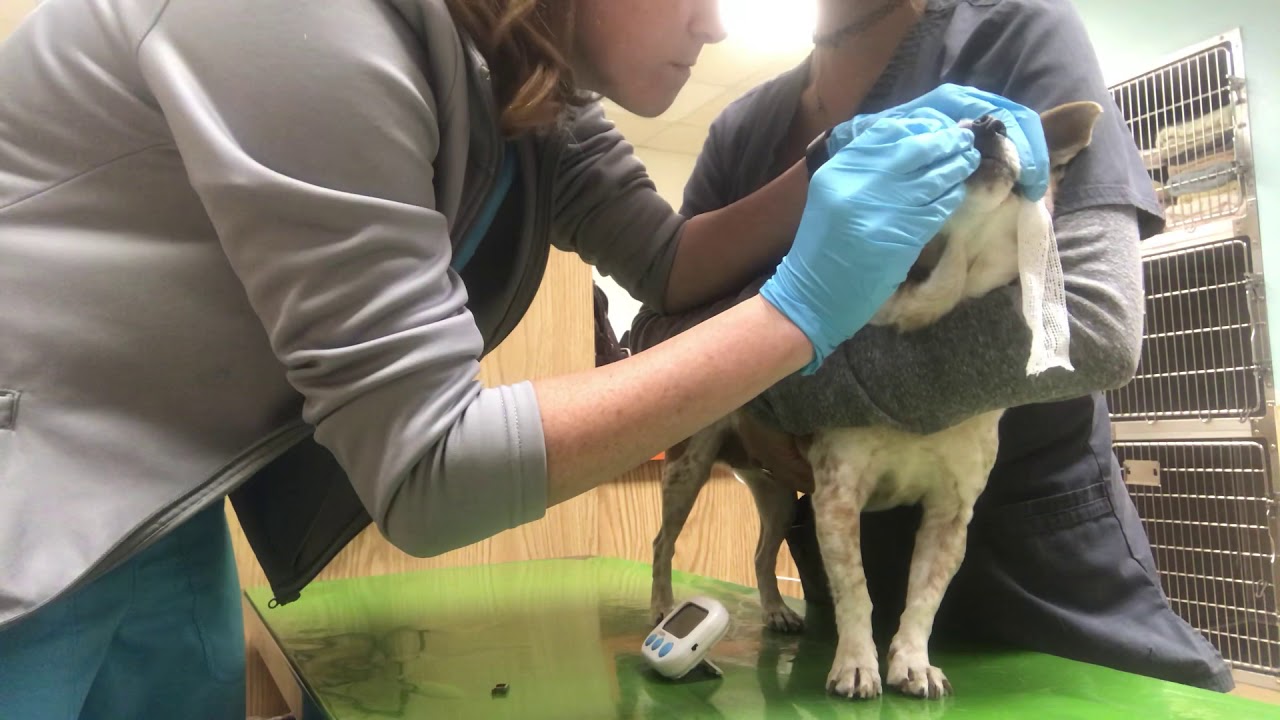 Skill 26 BMBT - YouTube