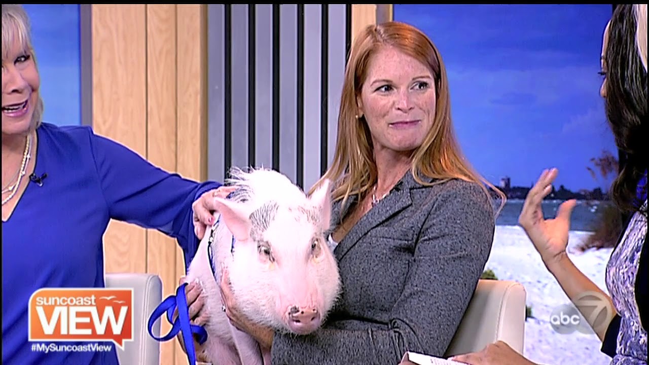 Hamilton the Mini Pig of Venice - YouTube