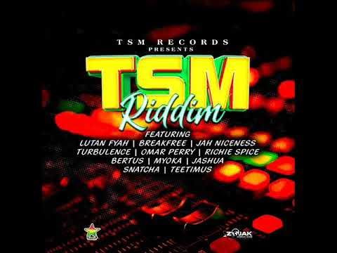 TSM Riddim Mix (Full) Feat. Richie Spice, Lutan Fyah, Turbulence, Omar Perry (December 2022 ...