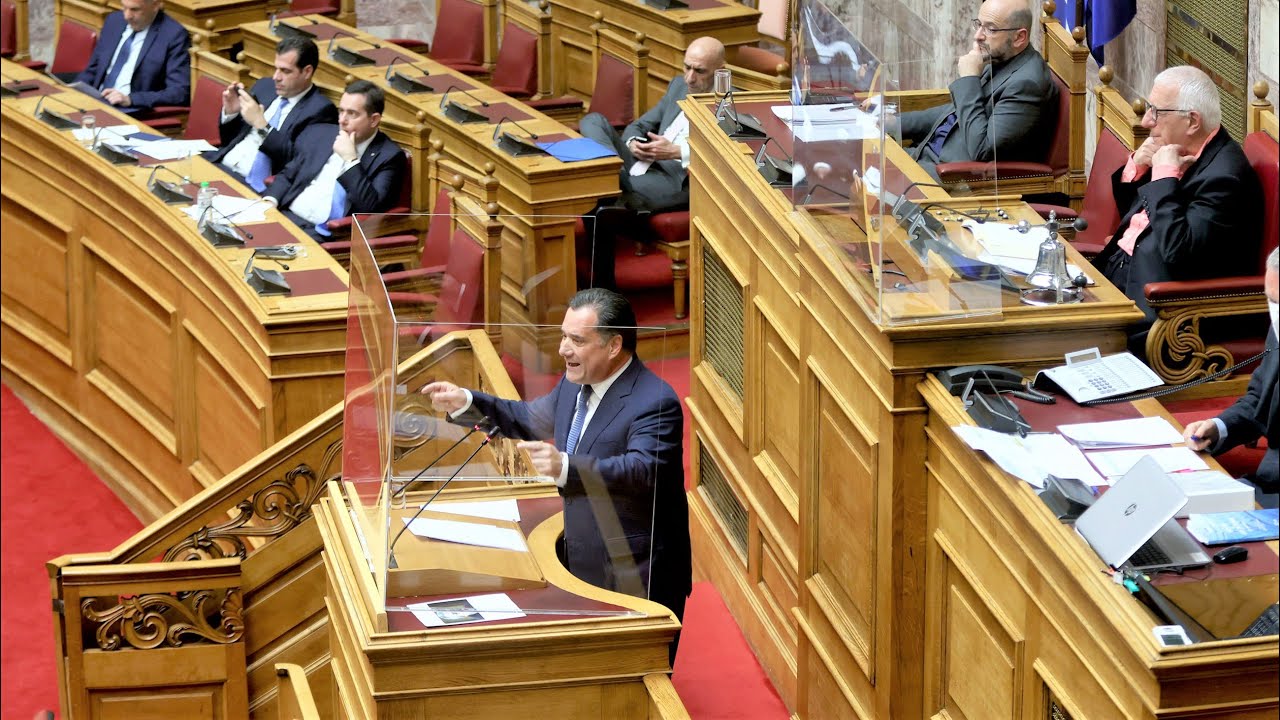 Ο Άδωνις Γεωργιάδης για την "Πρόταση δυσπιστίας κατά της Κυβέρνησης" 25 ...