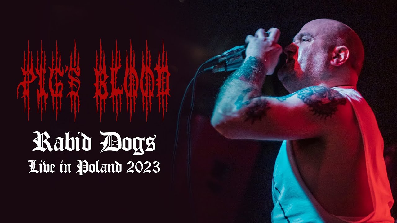 PIG'S BLOOD - Rabid Dogs - Live in Poland 2023 - YouTube