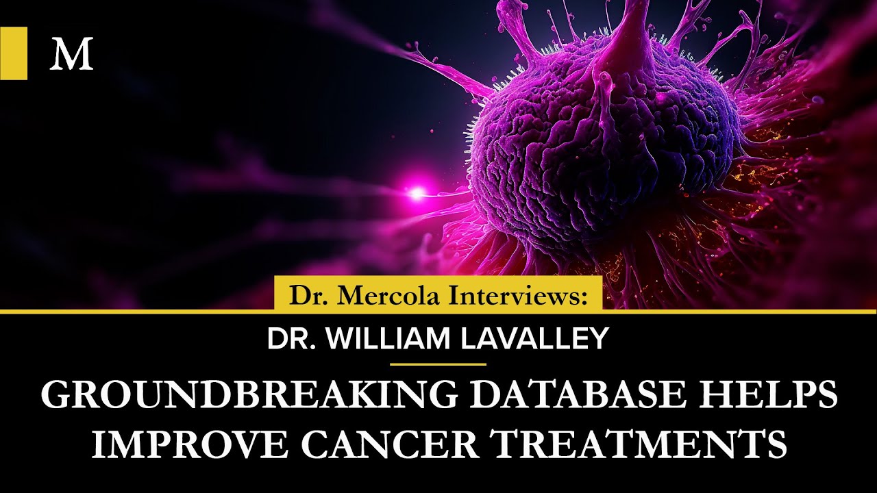 Groundbreaking Database Helps Improve Cancer Treatments – Interview ...