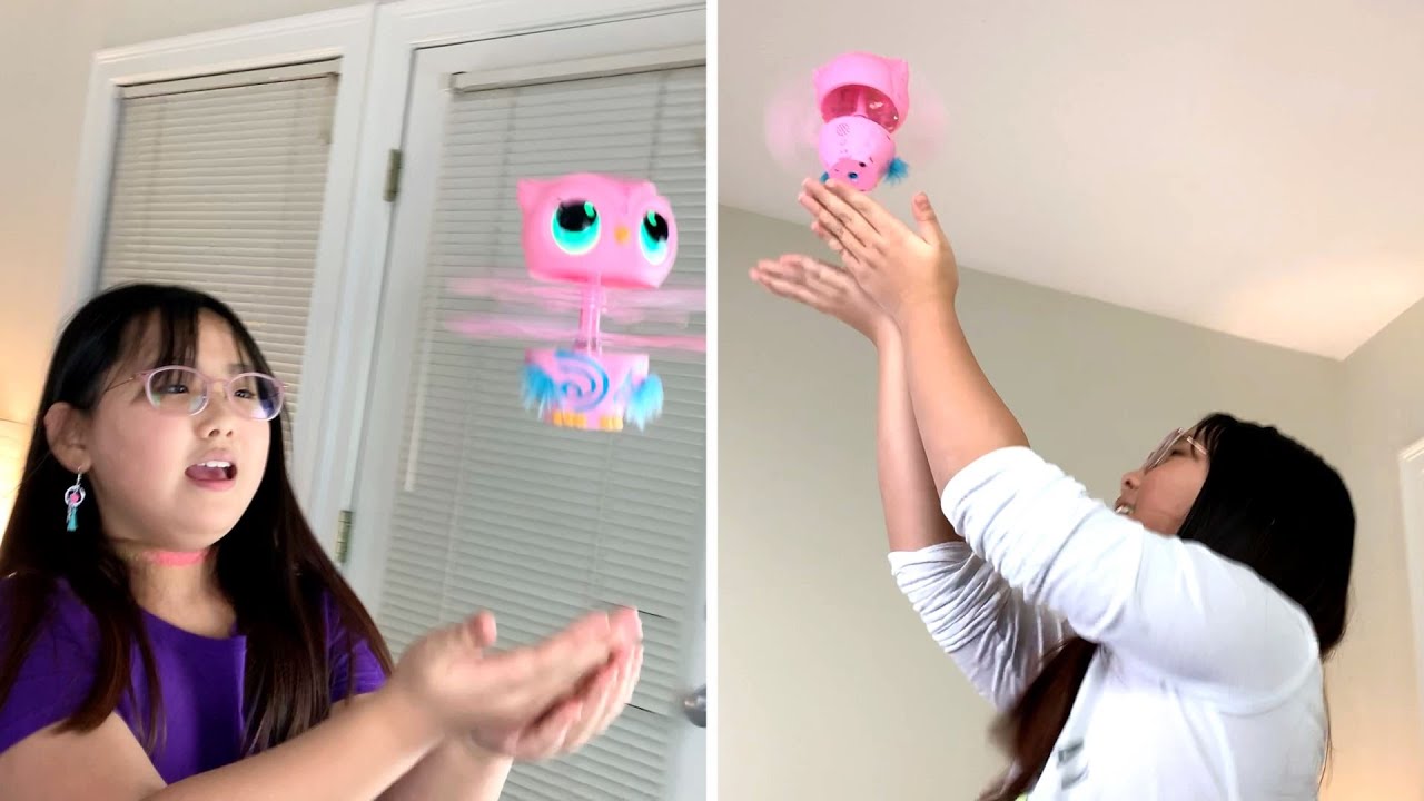 Owleez | Fun Unboxing | Teaching Owleez the baby owl to fly - YouTube