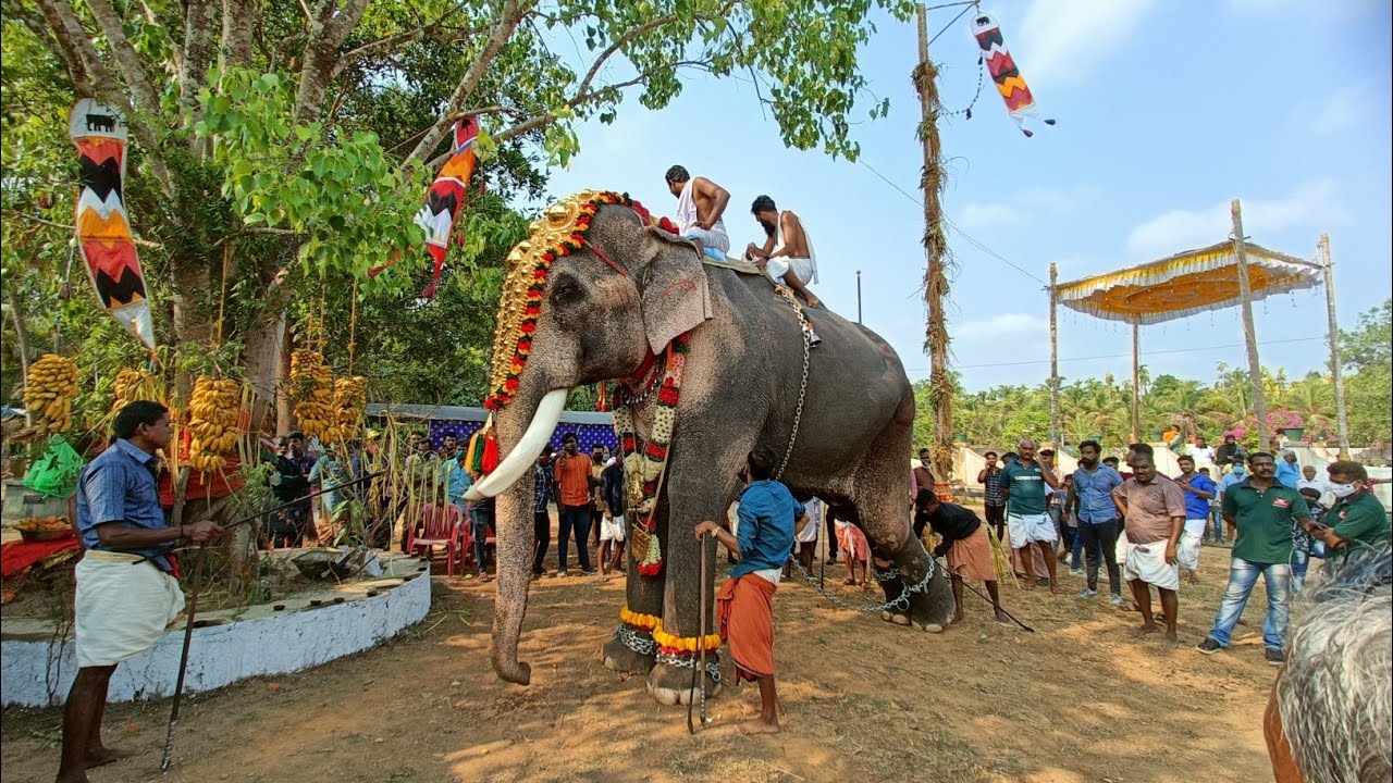 രാമന്റെ power 🔥 തെച്ചിക്കോട്ടുകാവ് രാമചന്ദ്രൻ ബ്രഹ്മകുളത്ത്# ...
